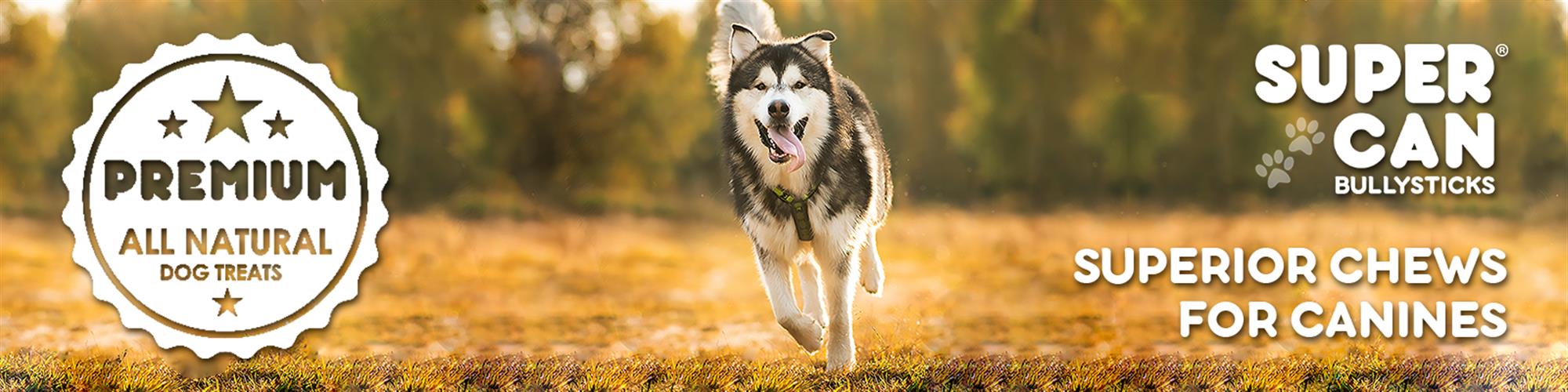 Supercan Bully Sticks | Wholesale Pet